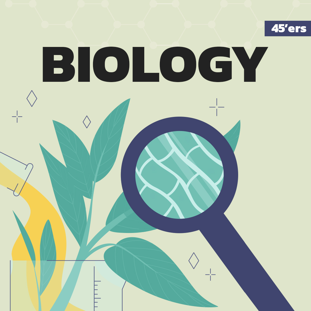 IB Biology HL Study Notes - The45ers